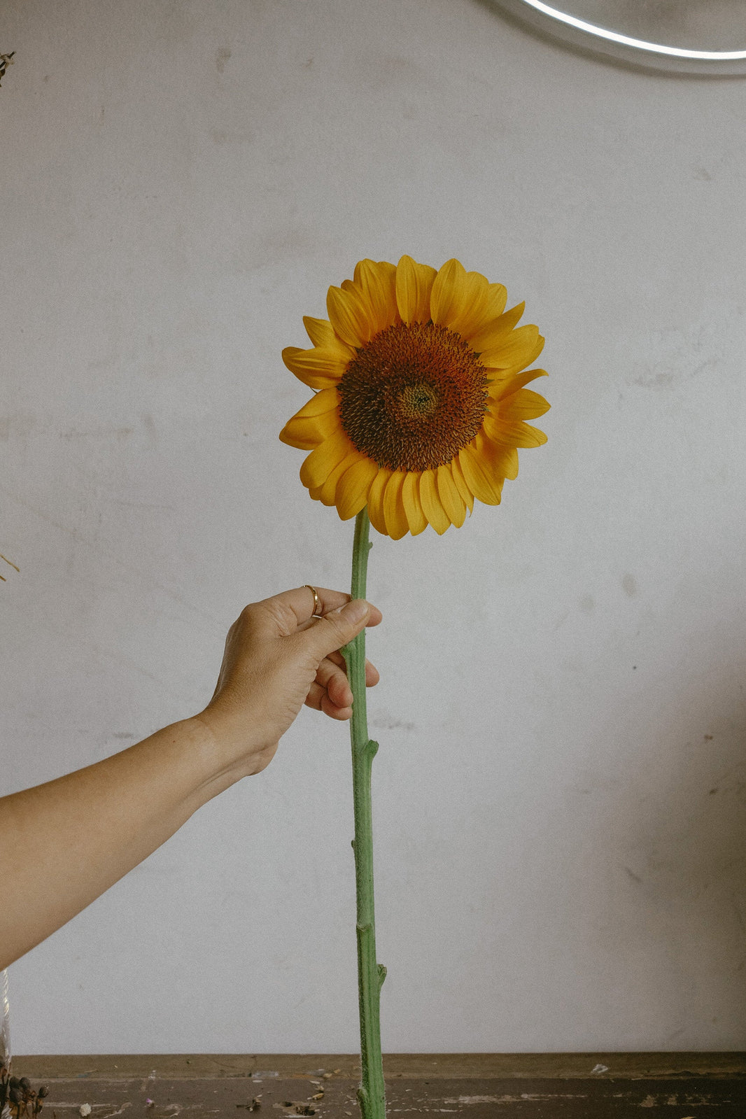 Saglit by Flower Ranch Cafe