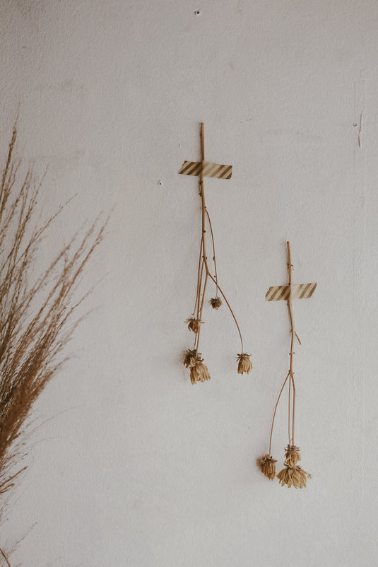 About – Flower Ranch Cafe