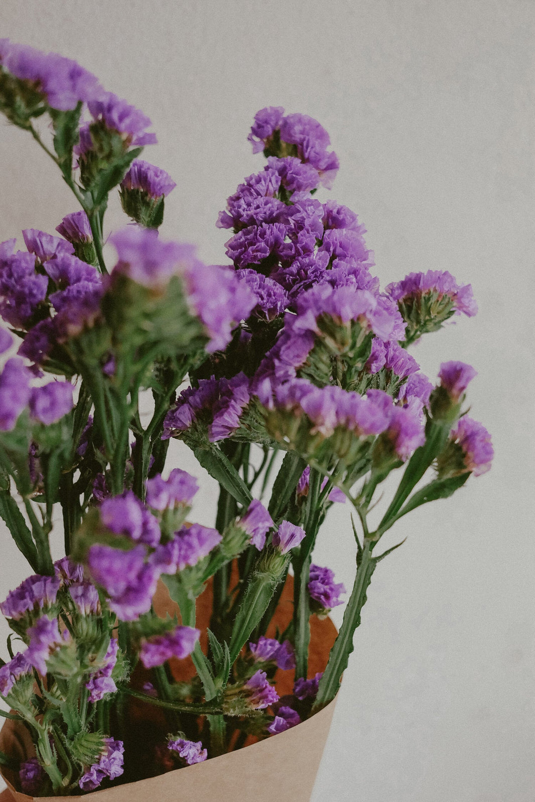 Saglit by Flower Ranch Cafe